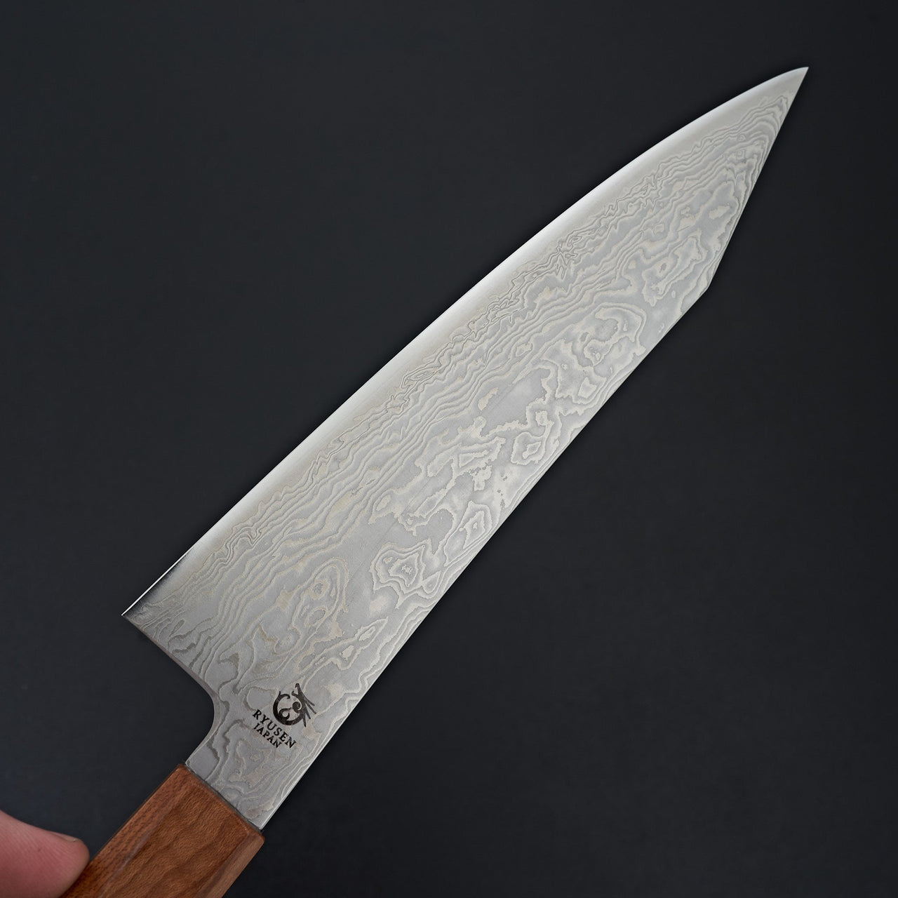 Ryusen Fukakuryu Wa Gyuto 210mm