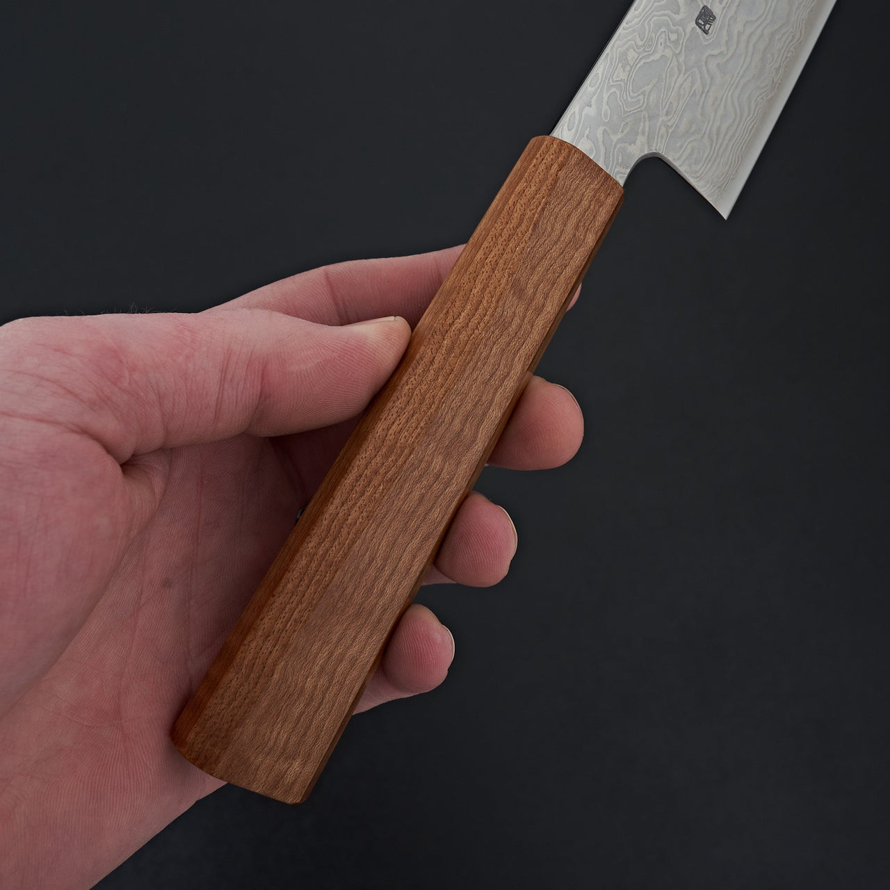 Ryusen Fukakuryu Wa Gyuto 210mm